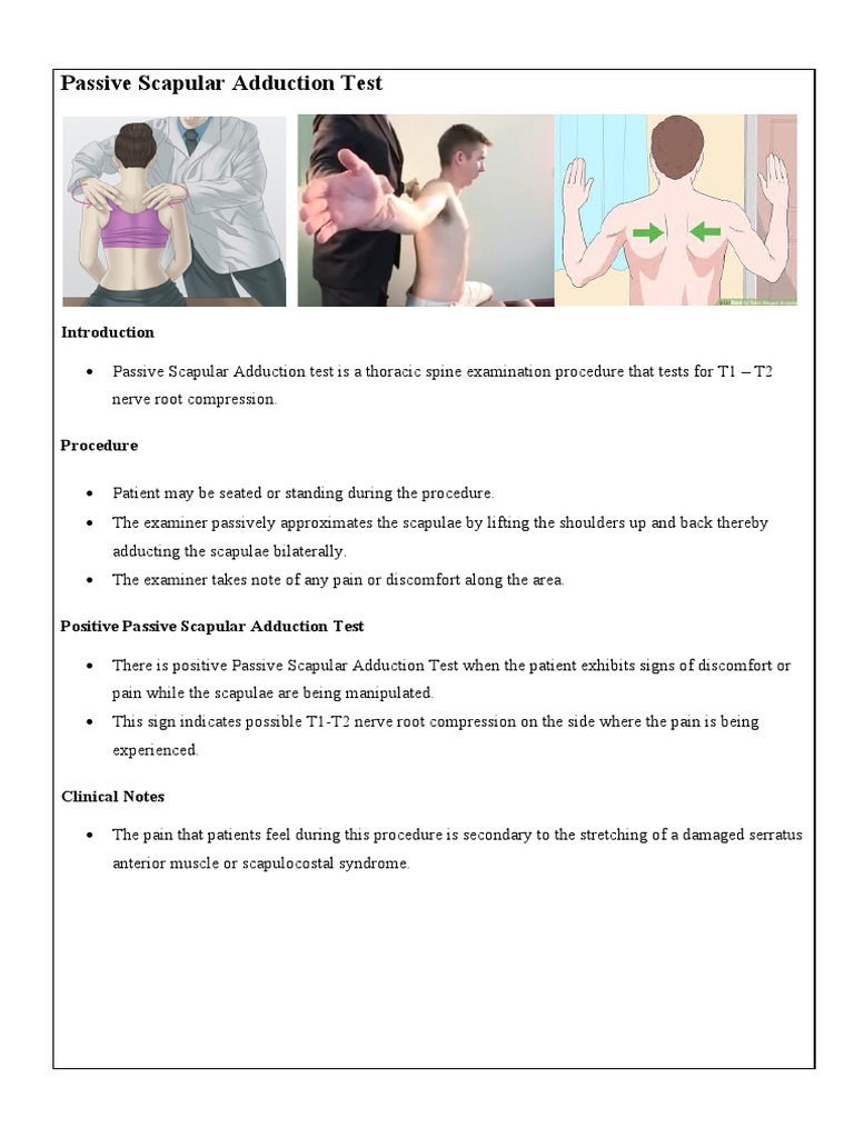 Passive Scapular Adduction Test | PDF | Shoulder | Spinal Cord