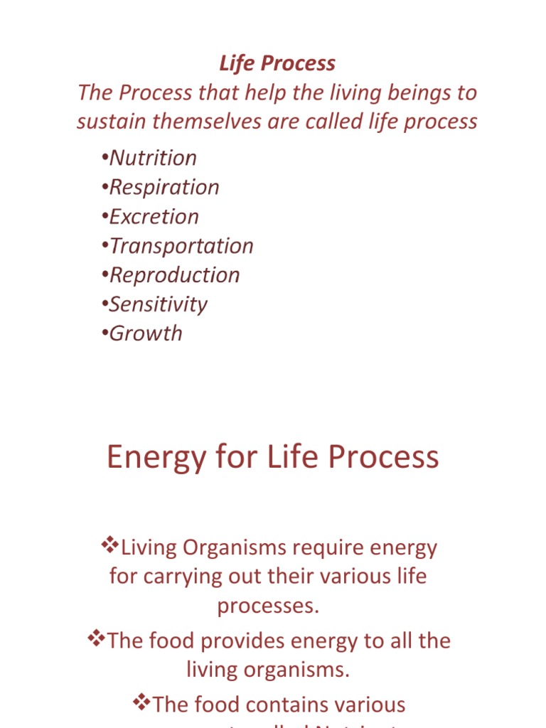 Life Process Nutrition | PDF | Nutrition | Diet & Nutrition