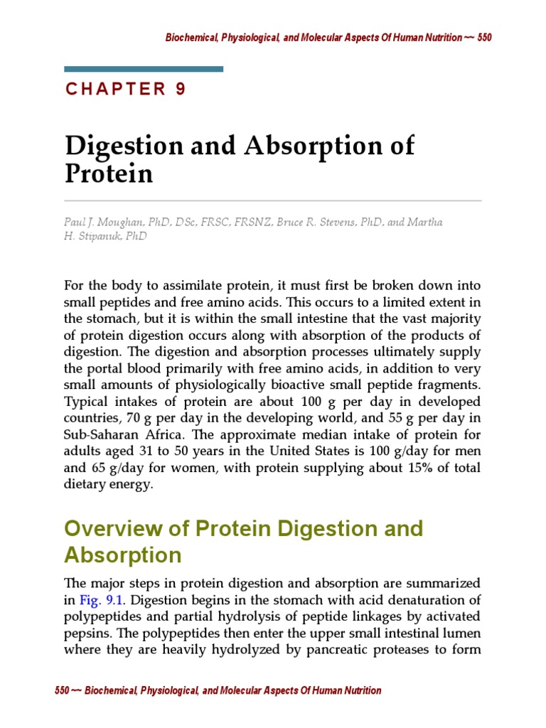 Digestion & Absorption Proteins | PDF | Trypsin | Proteolysis