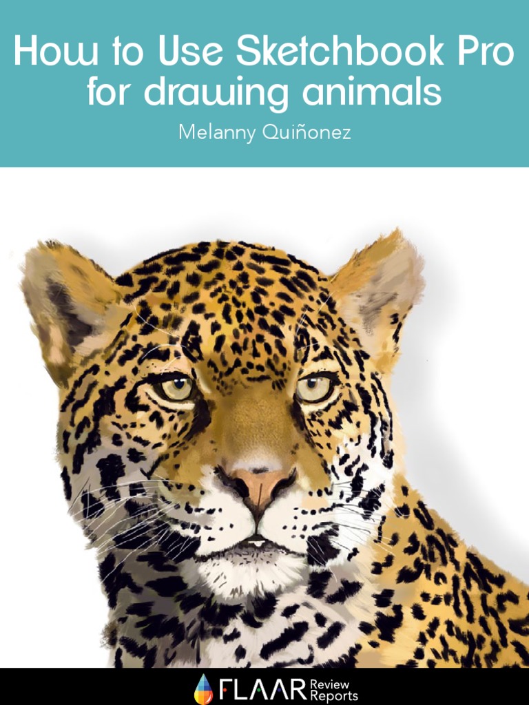 For Drawing Animals: How To Use Sketchbook Pro | Download Free PDF ...