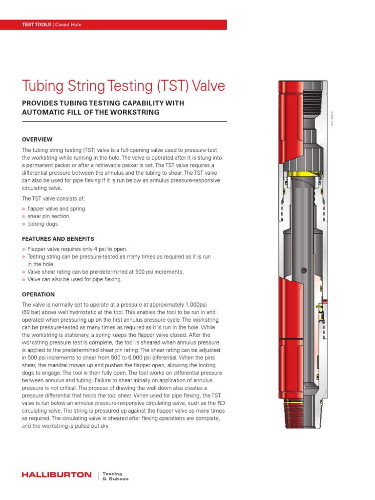 Tubing String Testing (TST) Valve: Provides Tubing Testing Capability ...