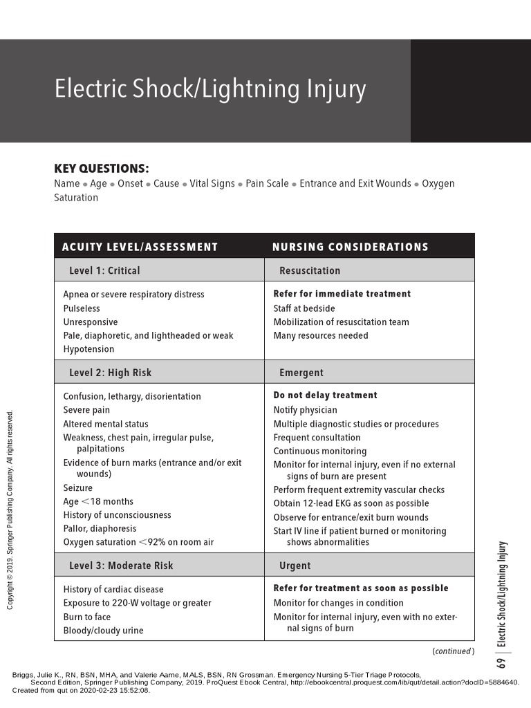 Electric Shock/Lightning Injury: Key Questions | PDF | Cardiopulmonary ...