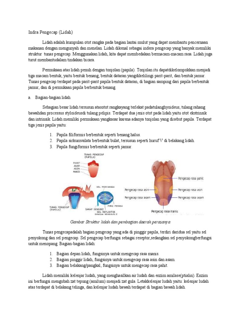 Indra Pengecap | PDF