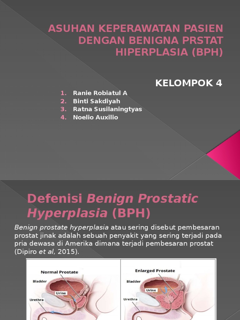 BPH Kelompok 4 | PDF