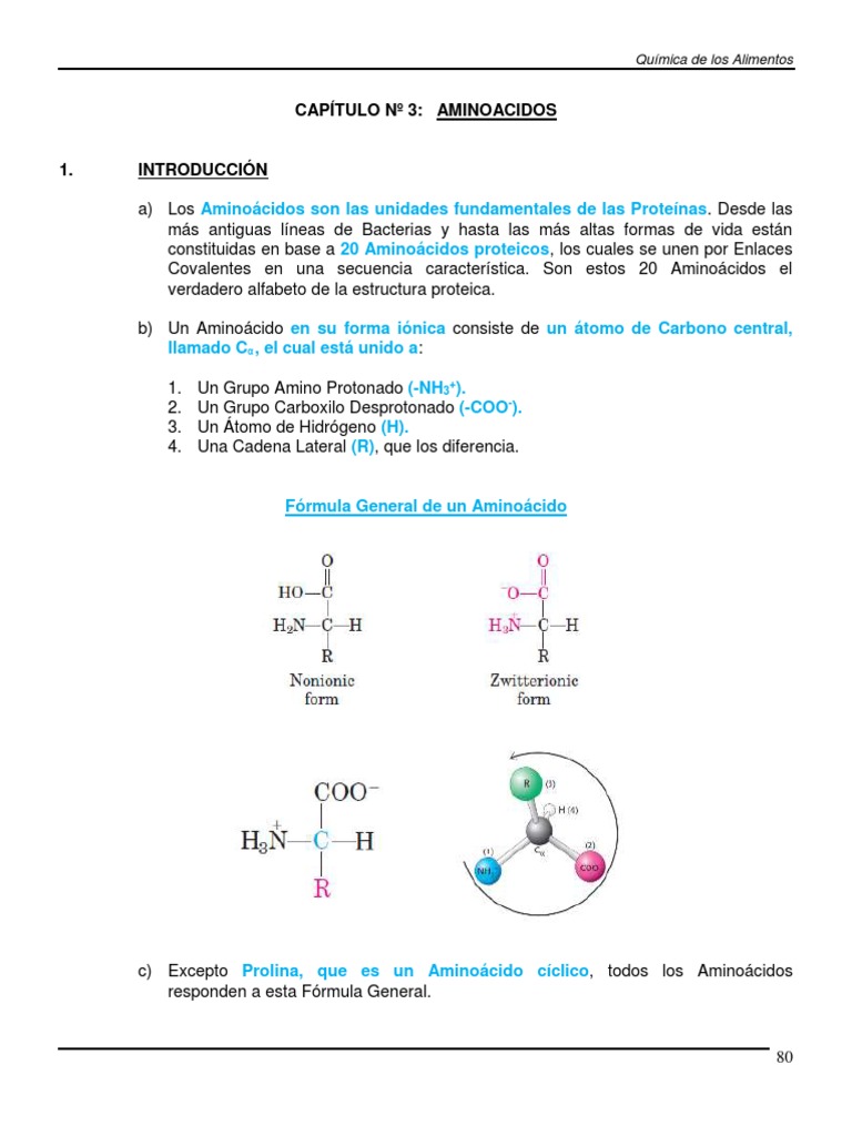 Capítulo #3: Aminoacidos: Química de Los Alimentos | PDF | Aminoácidos ...