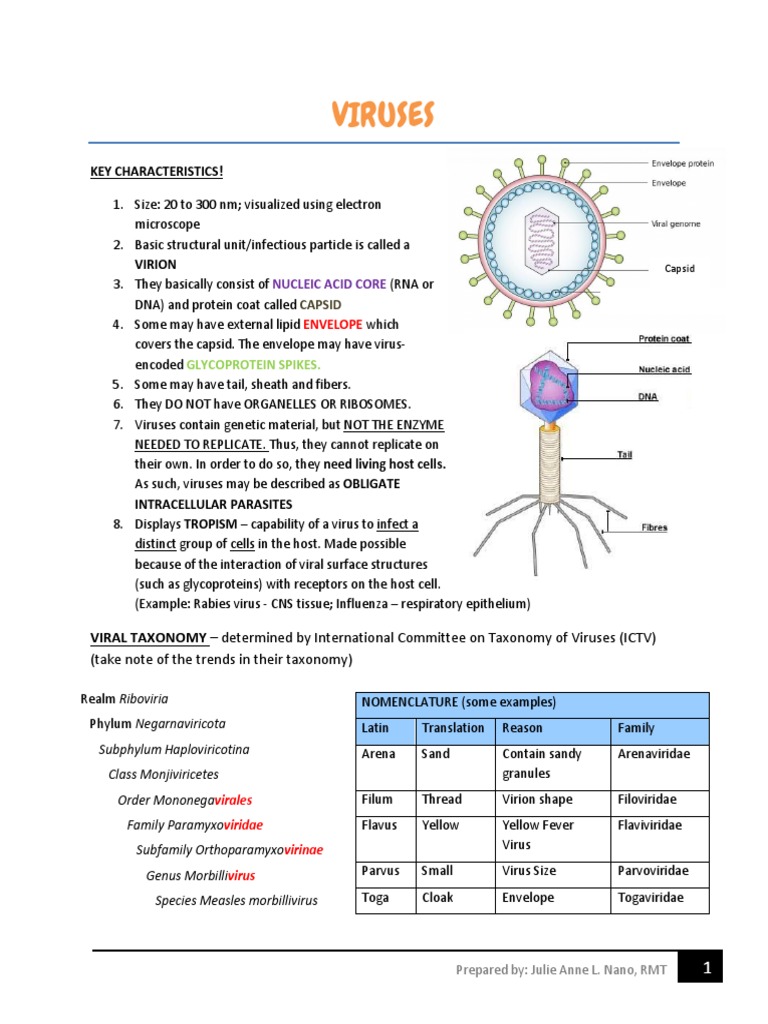 Viruses: Key Characteristics! | PDF | Sense (Molecular Biology) | Virus