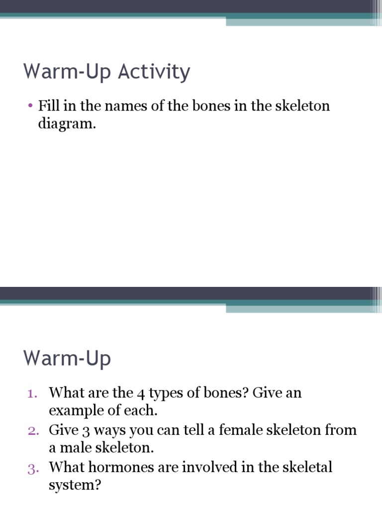 Warm-Up Activity: Fill in The Names of The Bones in The Skeleton ...