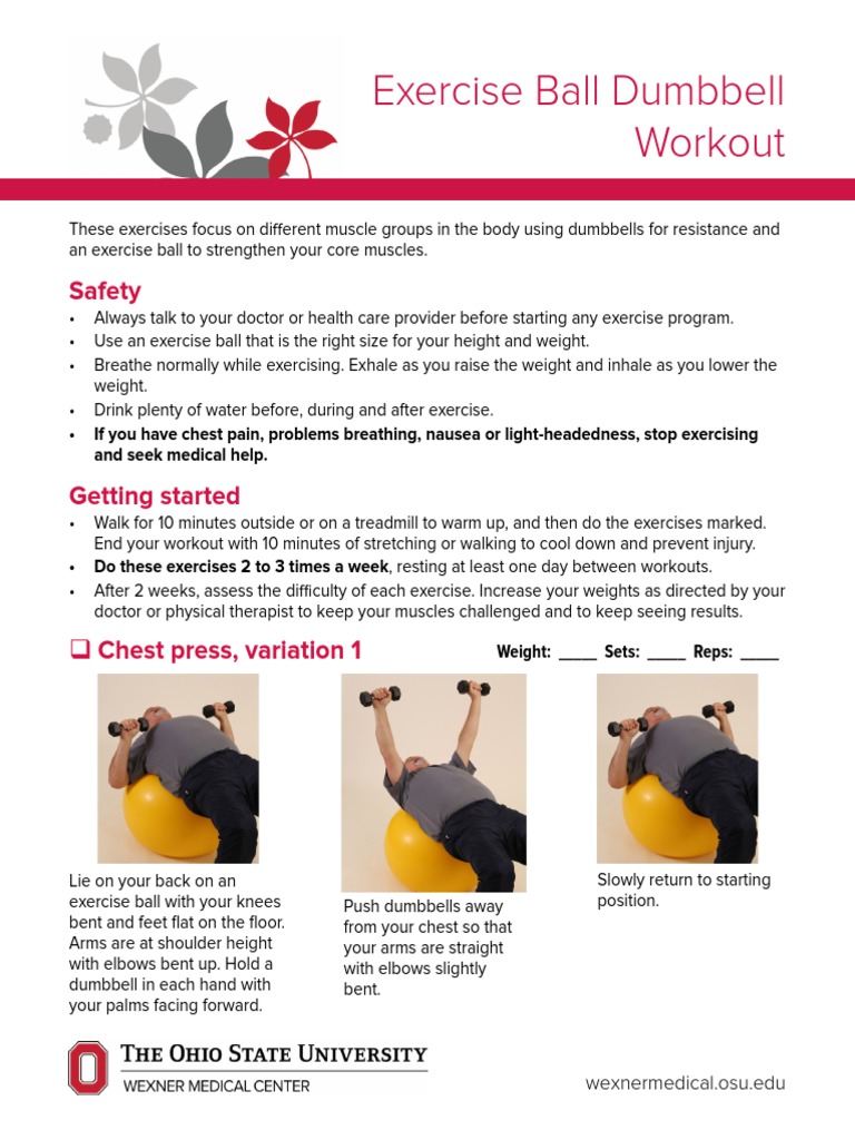 Exercise Ball Dumbbell Workout: Safety | PDF | Musculoskeletal System ...