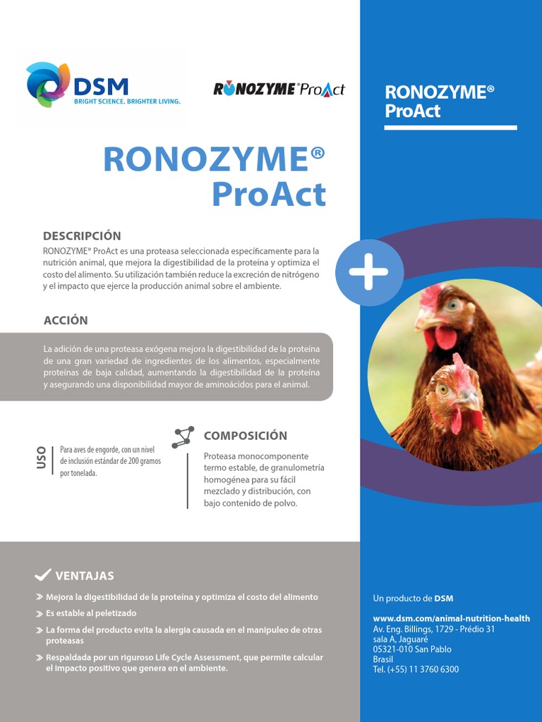 Ronozyme Proact | PDF