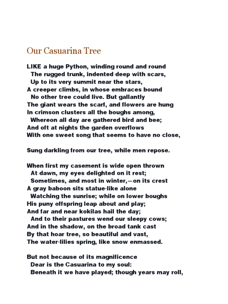 Our Casuarina Tree | PDF | Poetry