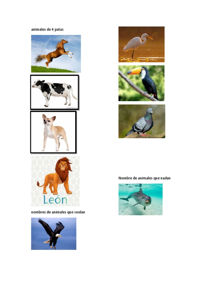 Animales de 4 Patas | PDF
