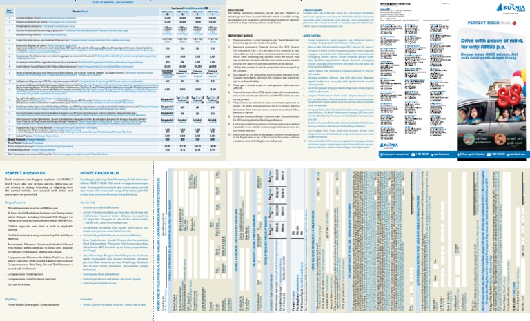 Brochure Perfect Rider Plus K PDF | PDF