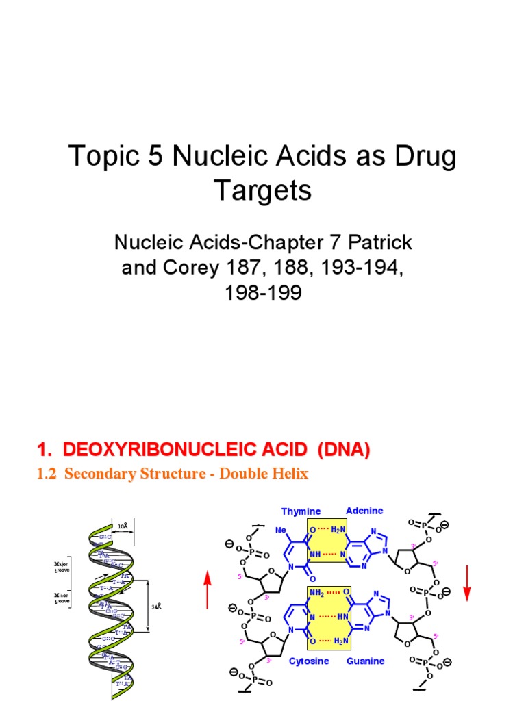 09.2 - Nucleic Acids As Drug Targets PDF | PDF | Rna | Translation ...