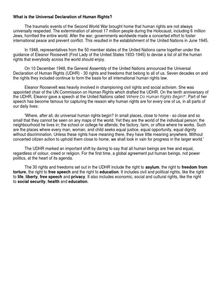 Understanding the UDHR | PDF | Human Rights | United Nations
