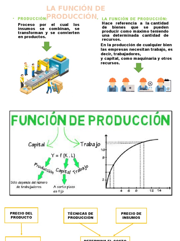 Etapas De La Función De Producción – XNIL