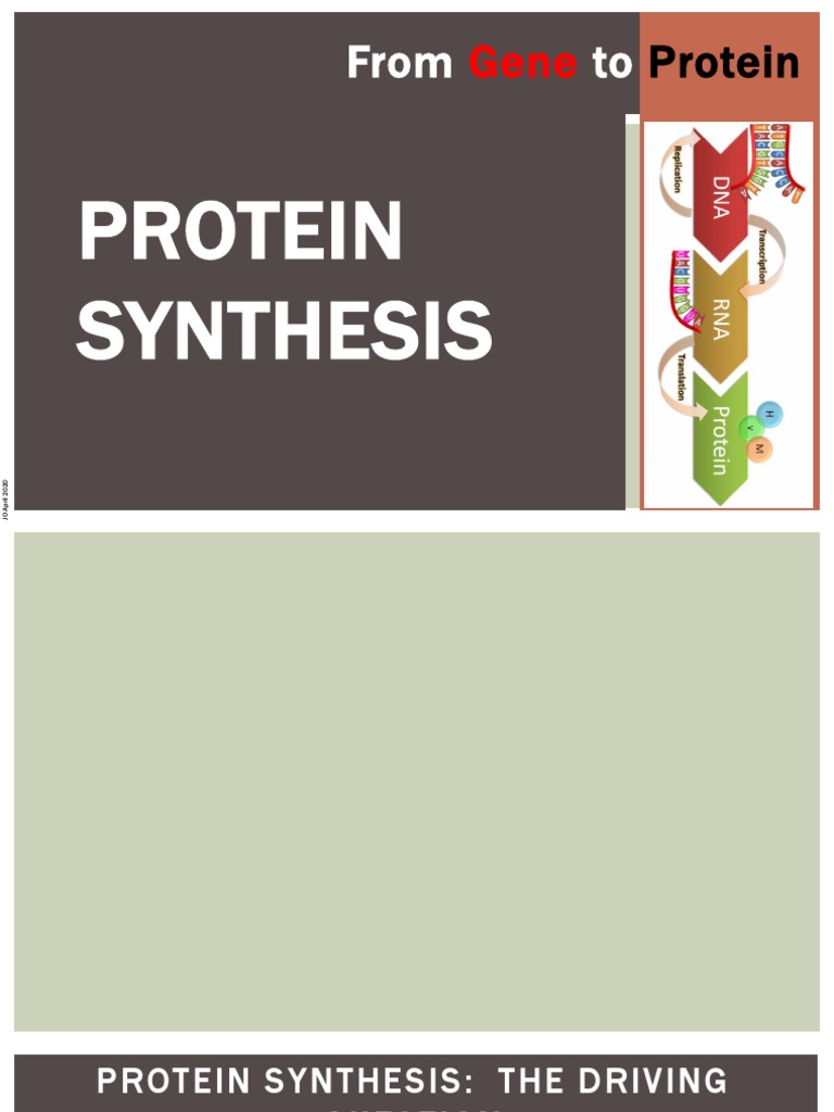 Protein Synthesis Complete Powerpoint | PDF | Translation (Biology ...