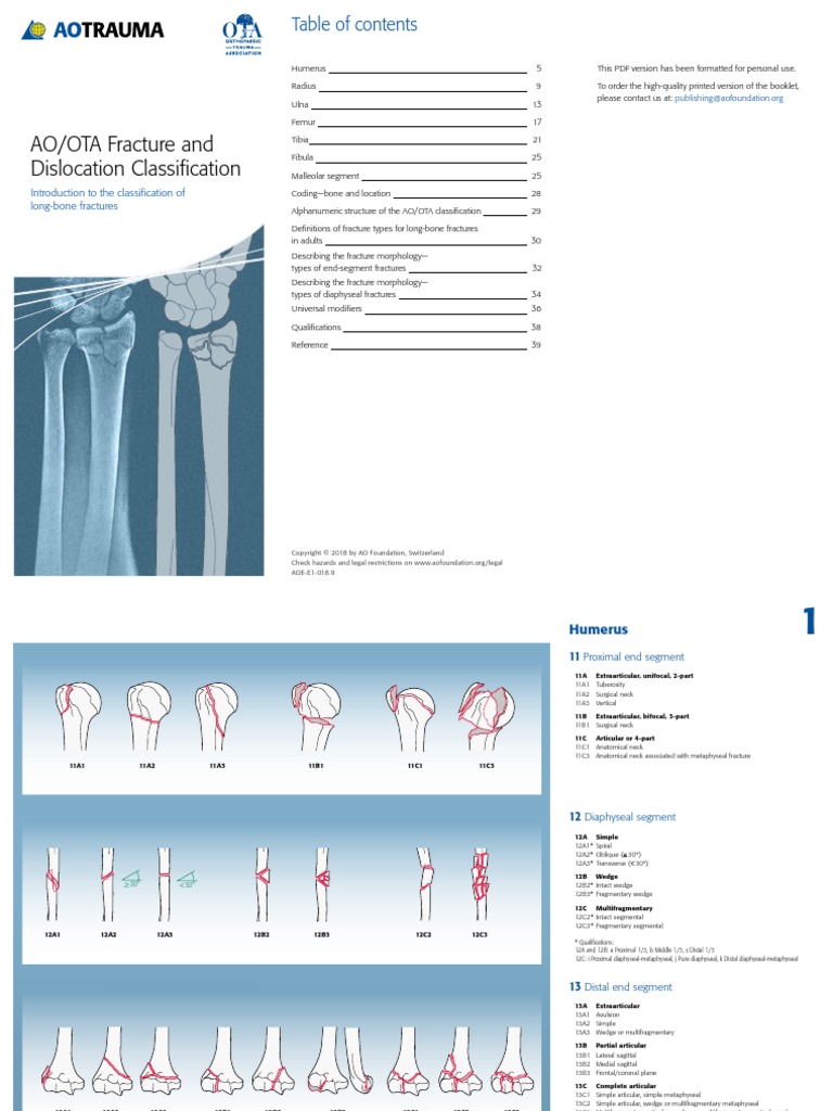AO/OTA Fracture and Dislocation Classification: Introduction to the ...