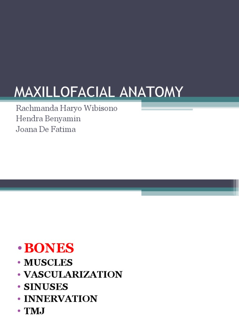 Maxillofacial Anatomy: Rachmanda Haryo Wibisono Hendra Benyamin Joana ...