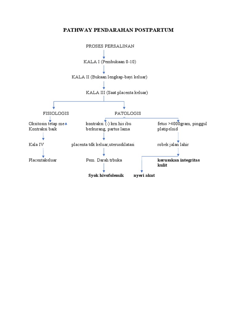 Pathway Pendarahan Postpartum | PDF