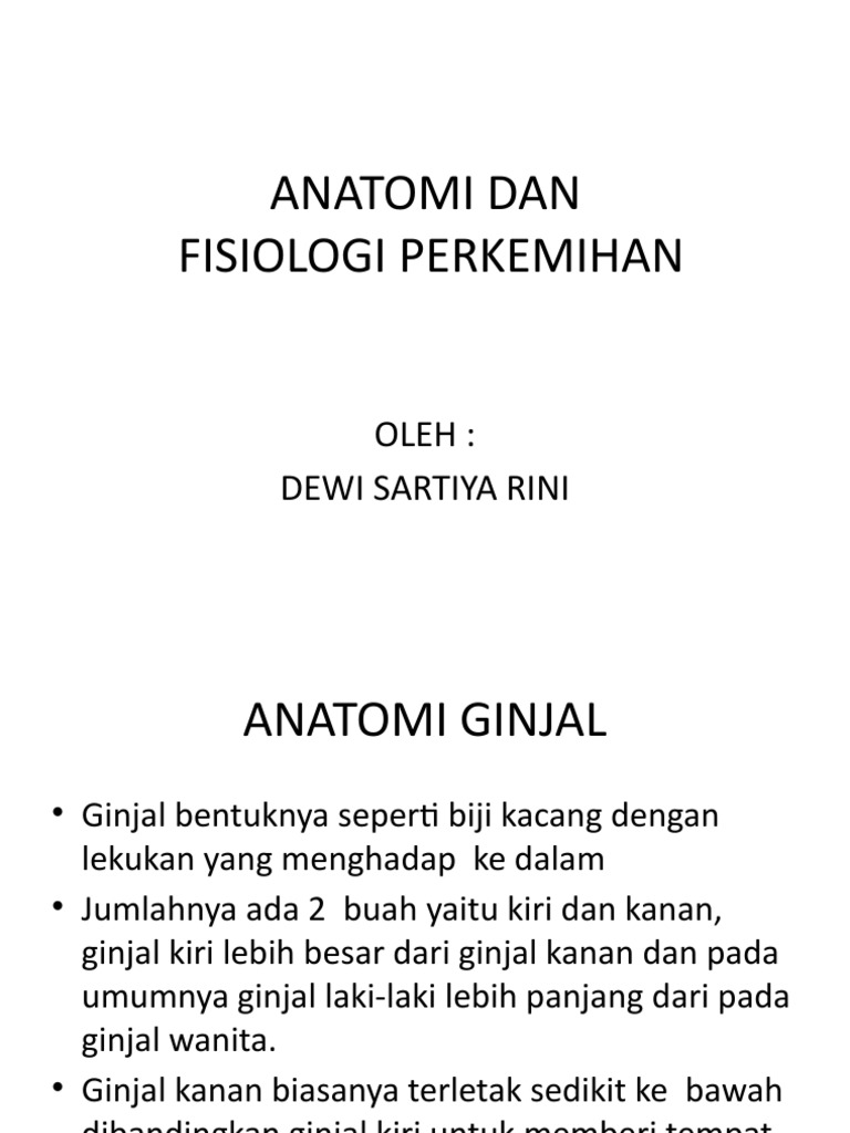 Anatomi Dan Fisiologi Perkemihan | PDF | Griya & Taman | Kesehatan Holistik