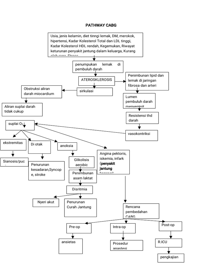 Pathway CABG | PDF