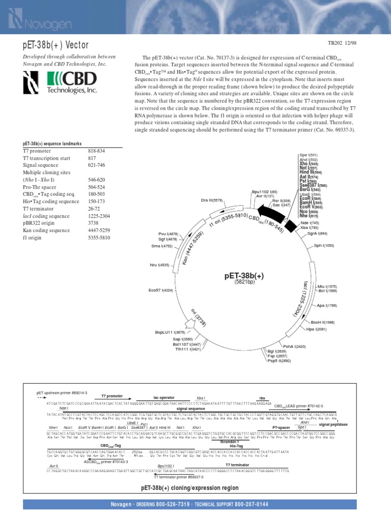 pET-38b (+) Vector: Developed Through Collaboration Between Novagen and ...