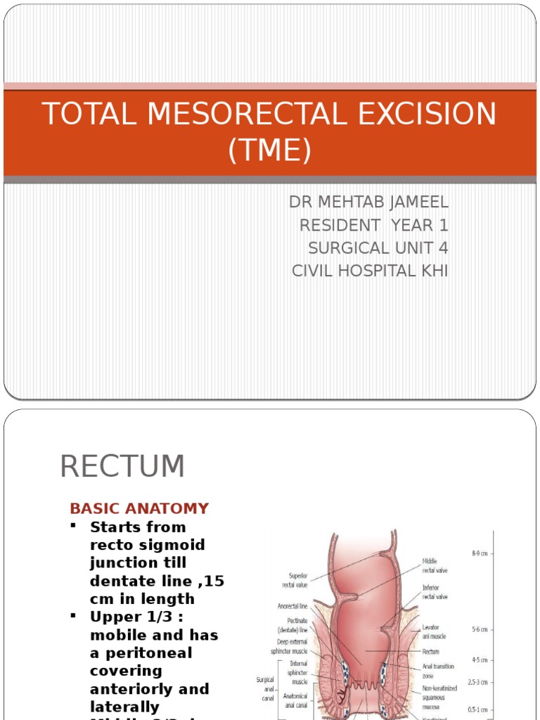 Total Mesorectal Excision (Tme) | PDF | Rectum | Neoplasms