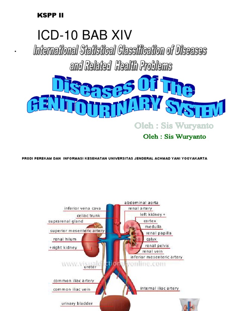 ICD-10 BAB-14 GENITOURINARY SYSTEM Temu12 PDF | PDF