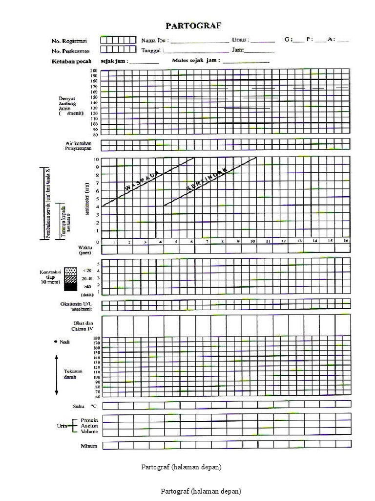 Partograf Halaman Depan | PDF