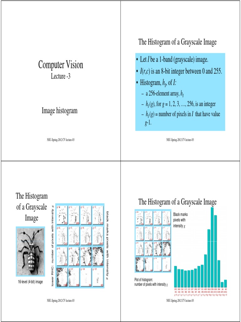 Computer Vision: The Histogram of A Grayscale Image | PDF | Pixel ...