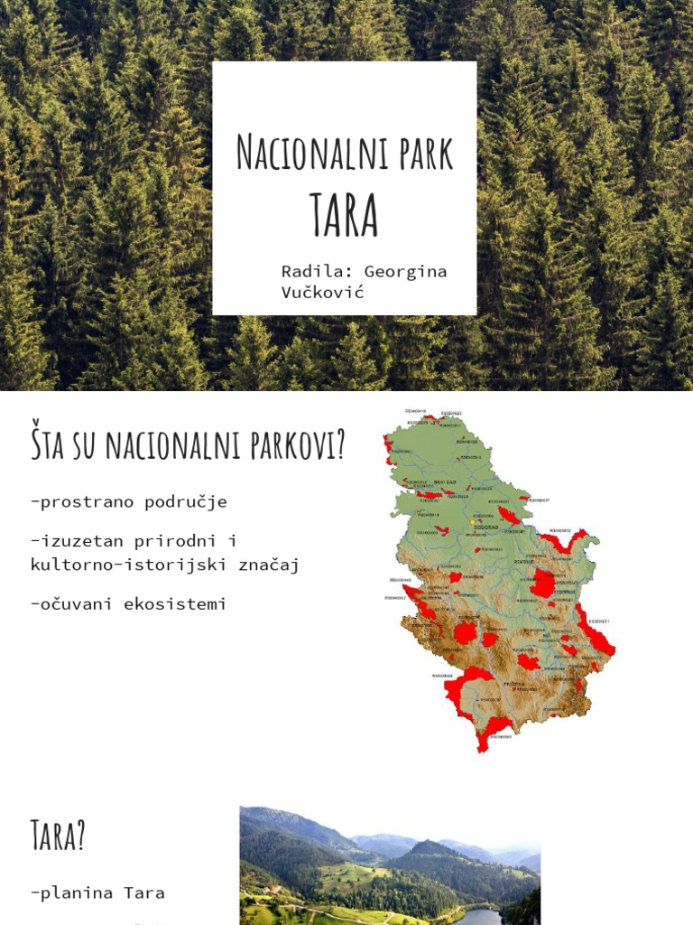 Nacionalni Park TARA