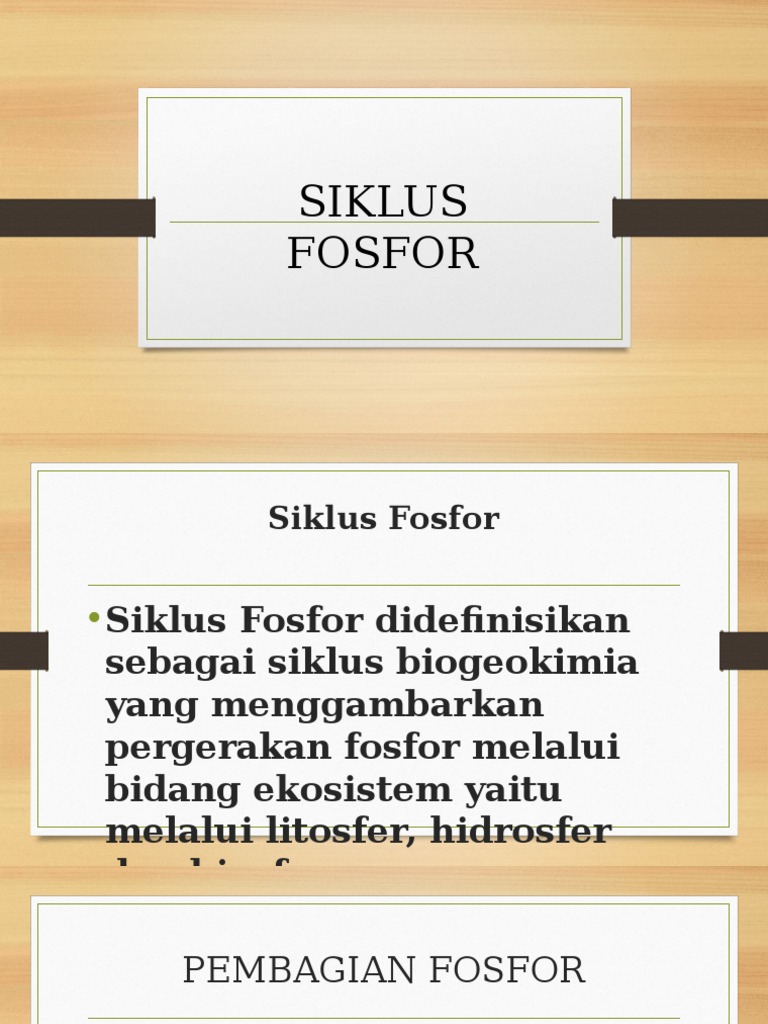 Siklus Fosfor Power Point | PDF