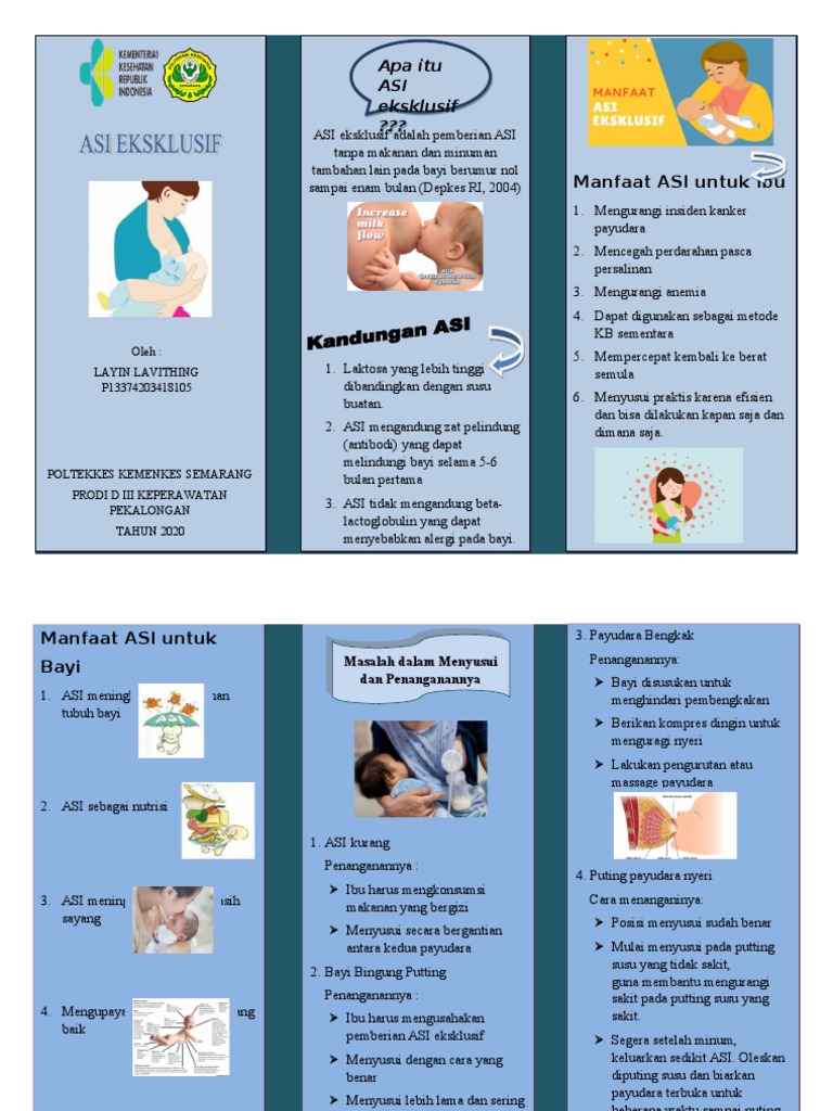 Leaflet Asi Eksklusif | PDF