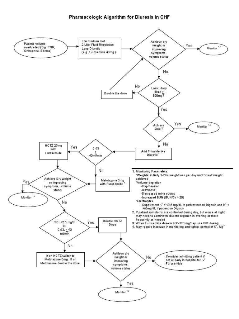 03 Diuresis Algorithm | PDF | Pharmacology | Drugs