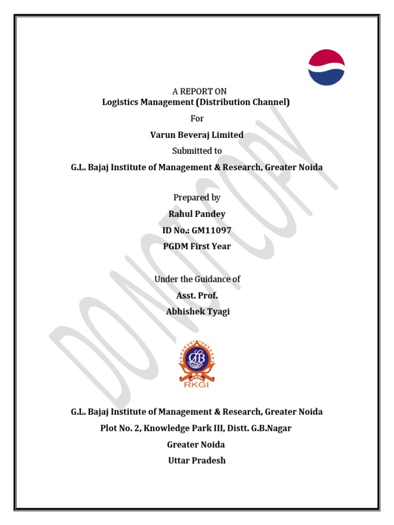 PepsiCo 02 | PDF | Logistics | Pepsi Co