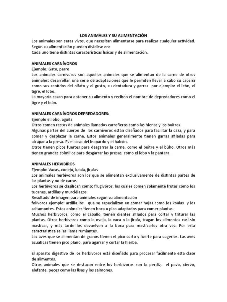 Los Animales y Su Alimentación | PDF | Leopardo | Herbívoro
