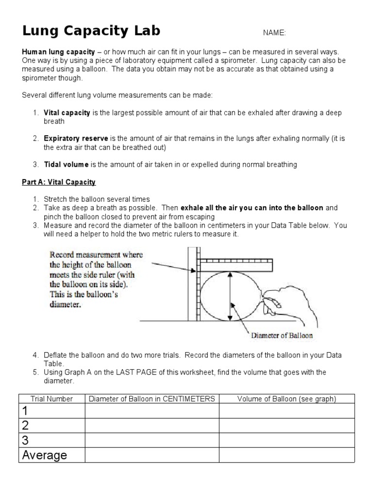 Lung Capacity Lab | Download Free PDF | Exhalation | Lung
