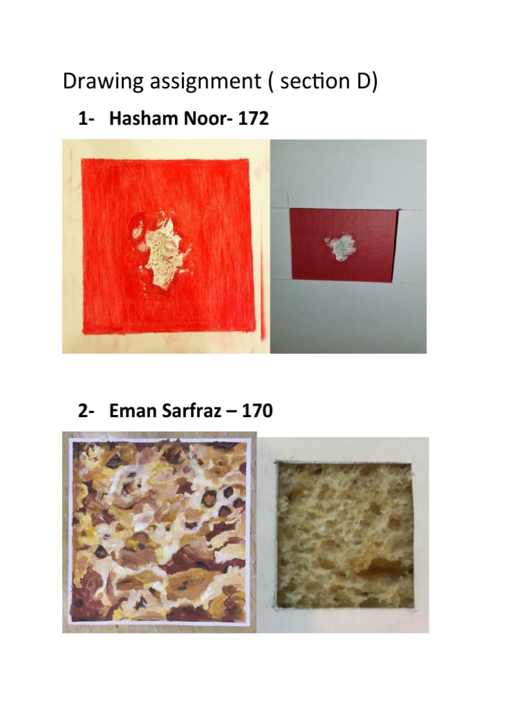 Drawing Assignment | PDF