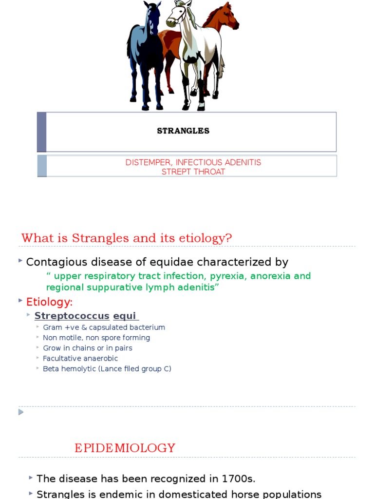 Understanding Strangles: A Comprehensive Review of Streptococcus equi ...