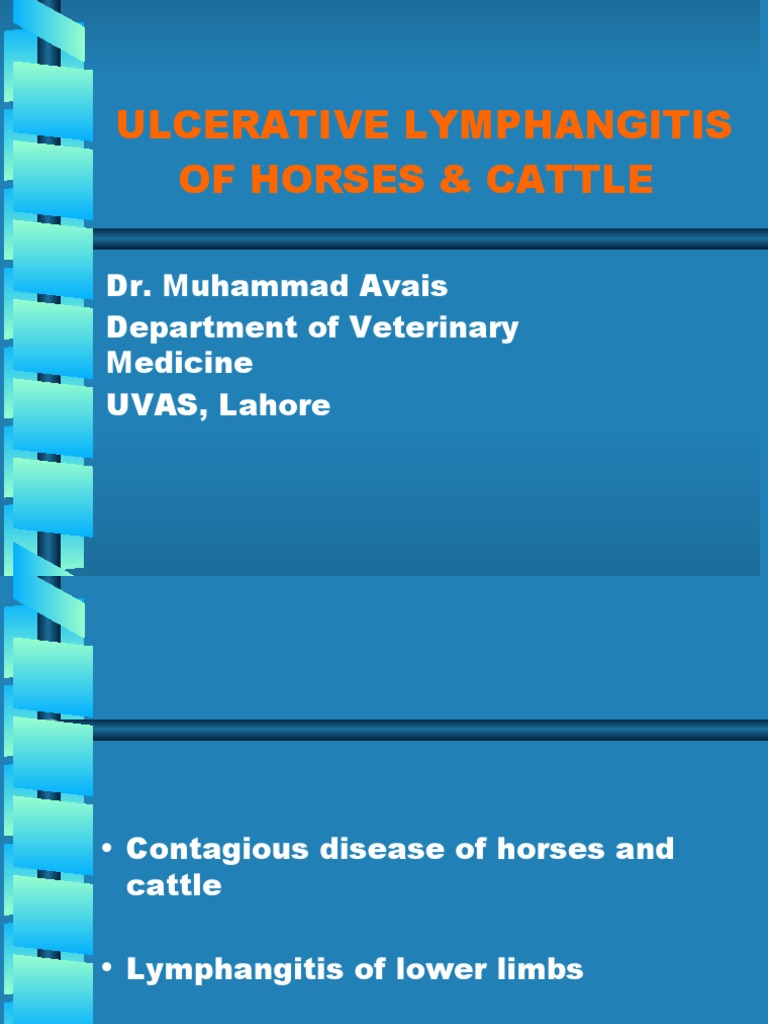 Ulcerative Lymphangitis | PDF