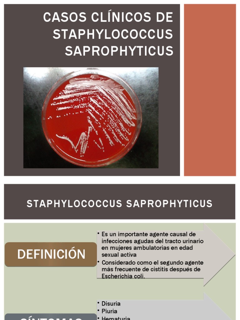 Casos Clínicos de Staphylococcus Saprophyticus | PDF | Infección del ...