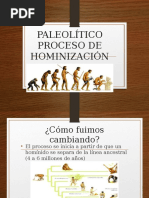 Dryopithecus | PDF | Hominidae | Homo Sapiens