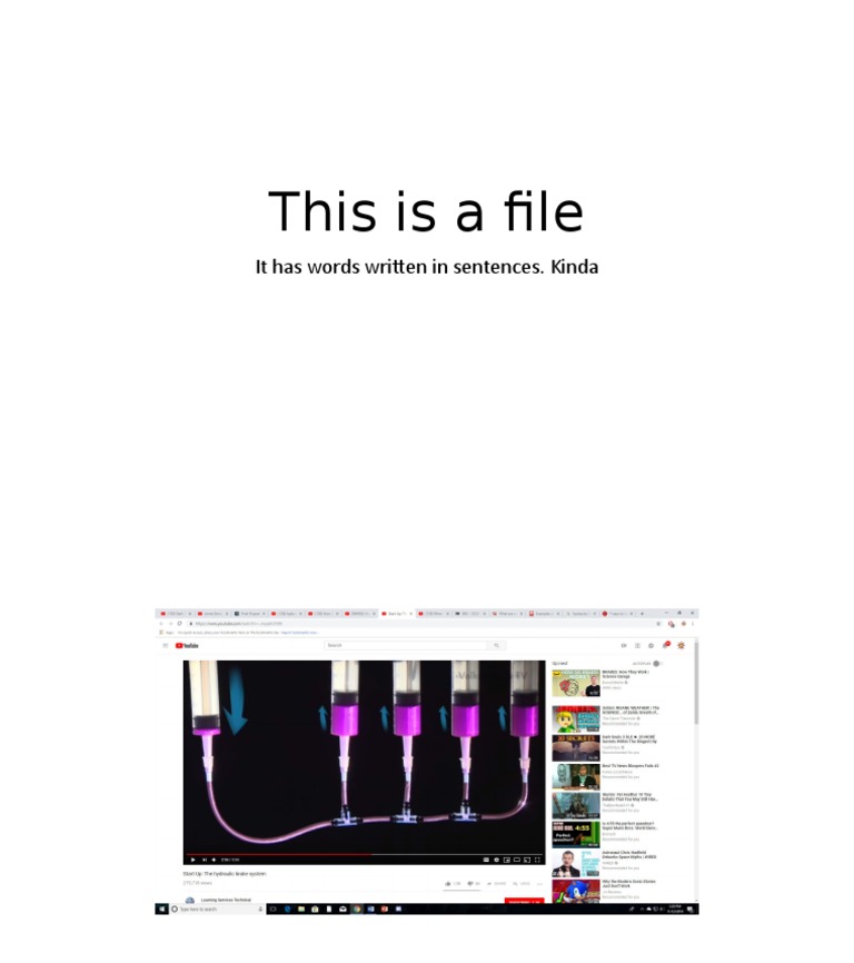 This Is A File: It Has Words Written in Sentences. Kinda | PDF
