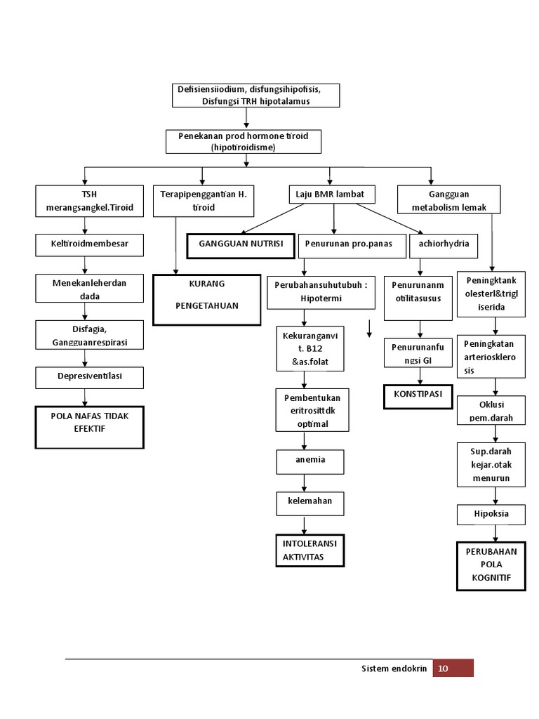 Pathway Hipertiroidisme dan Hipotiroid | PDF