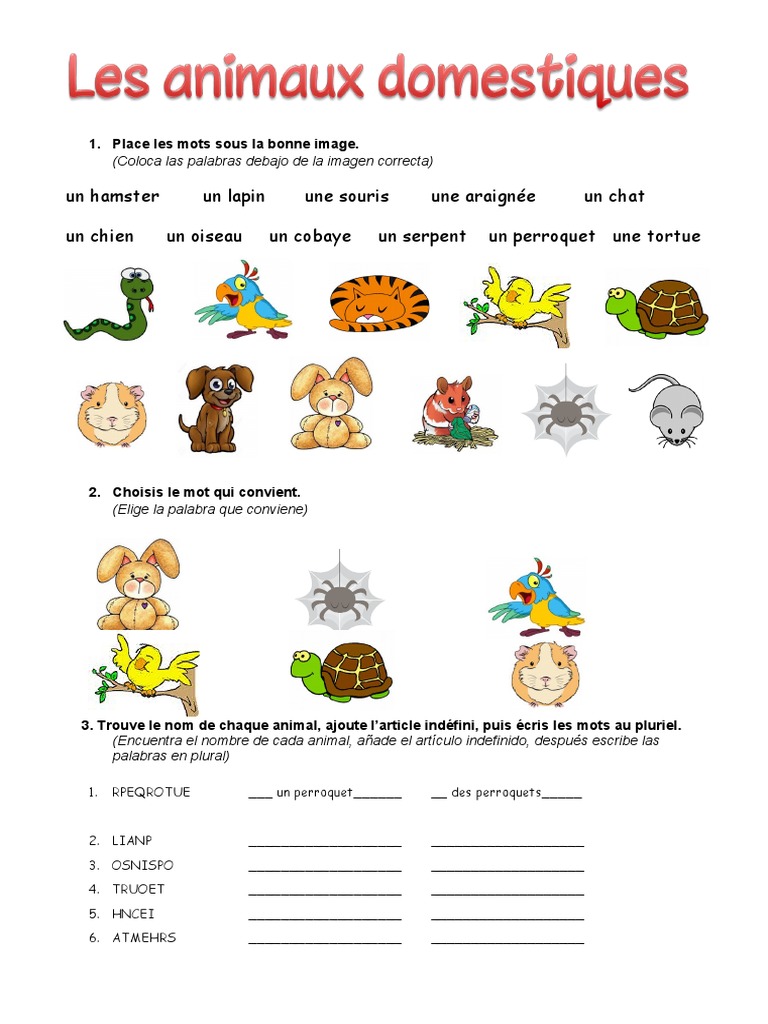 Les Animaux Domestiques | PDF