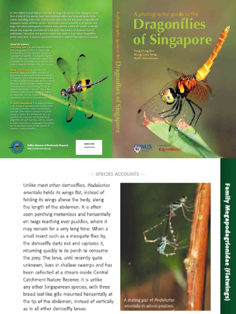 Dragonflies of Singapore: A Photographic Guide To The | PDF | Taxa ...
