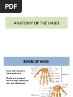 Thenar and Hypothenar Muscle Anatomy | PDF | Thumb | Hand
