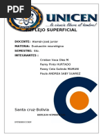 Reflejo Cremastérico: Definición y Ausencia | PDF