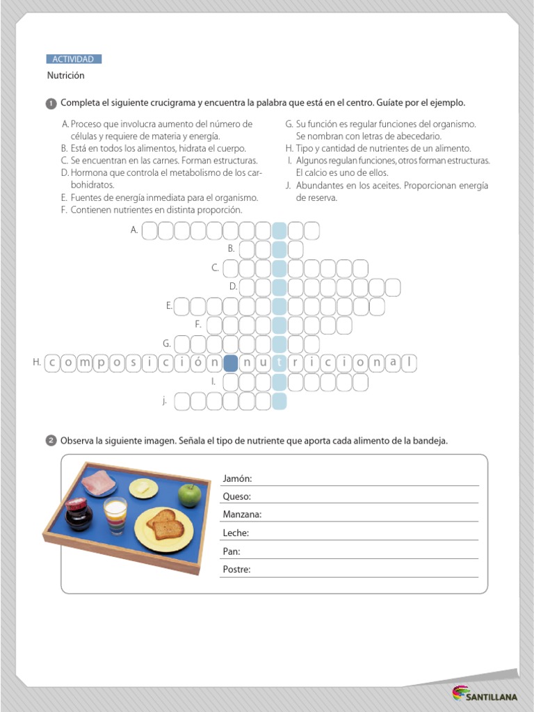 Actividades sobre Nutrientes y Nutrición | PDF | Nutrientes | Alimentos