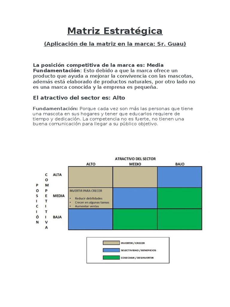 Matriz Estrategica | PDF
